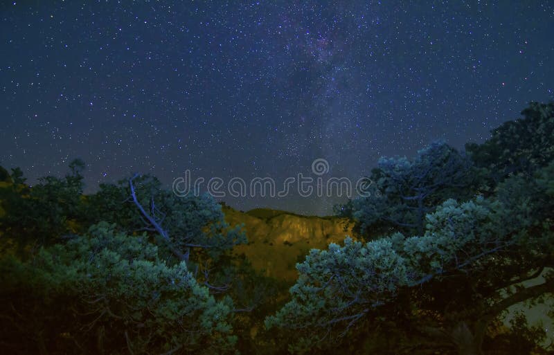 Starry night. stock image. Image of astrology, foreground - 103054651