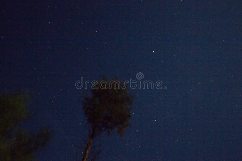 View of Starry Night Skies in Michigan Stock Image - Image of skies ...