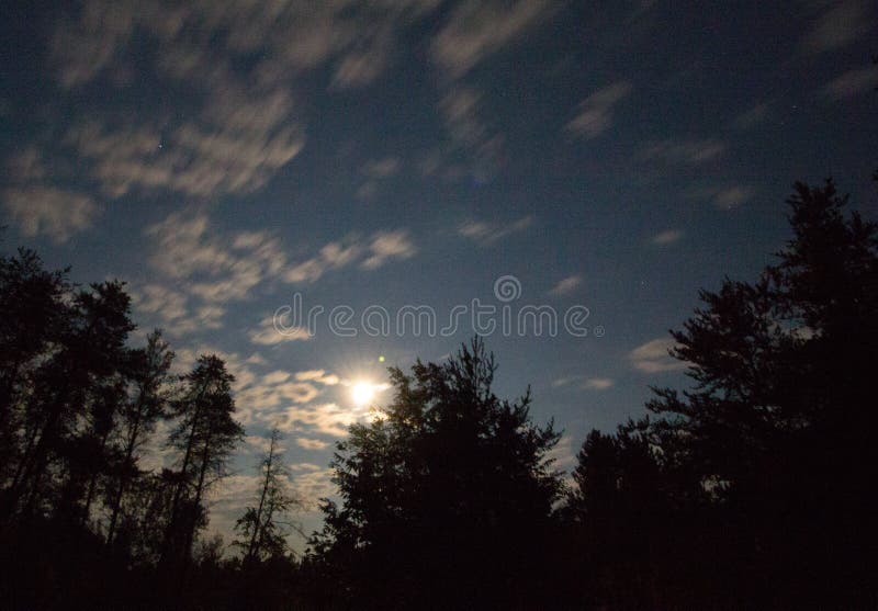 View of Starry Night Skies in Michigan Stock Photo - Image of heavens ...
