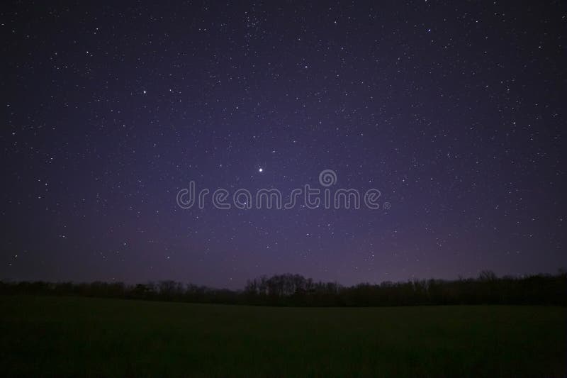 Starry Night Sky Above Field and Forest Stock Image - Image of natural ...