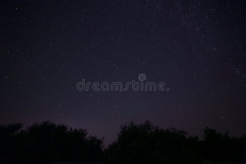Starry Night Sky Above Trees Stock Photo - Image of stars, cosmos ...