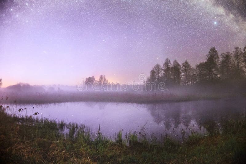 Starry Night Sky in a Forest Stock Photo - Image of space, abstract ...