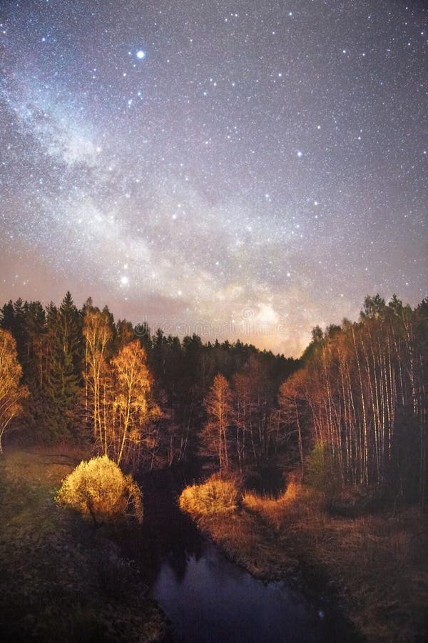 Starry Night Sky In A Forest Stock Image - Image of star, astrology ...