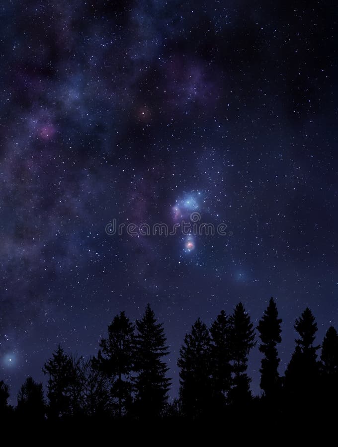 35+ Starry sky night forest Free Stock Photos - StockFreeImages