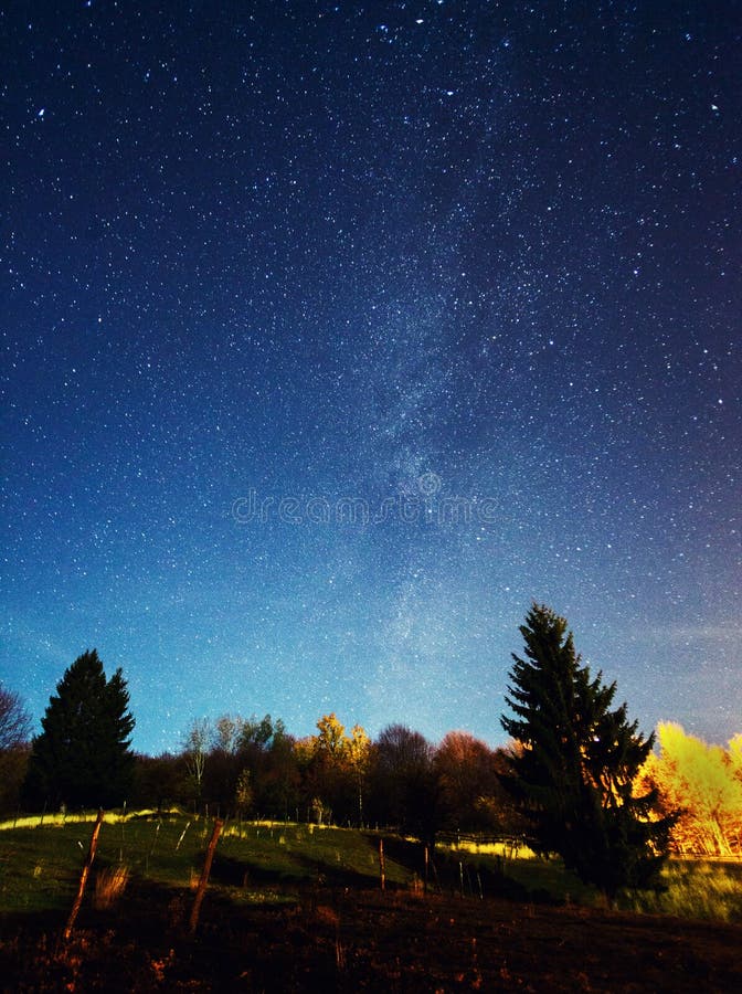 Starry Night Sky Over Forest Stock Image - Image of meadow, woods: 63803535