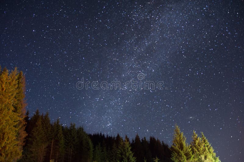 Starry Sky In The Night Forest. Stock Image - Image of needles, autumn ...