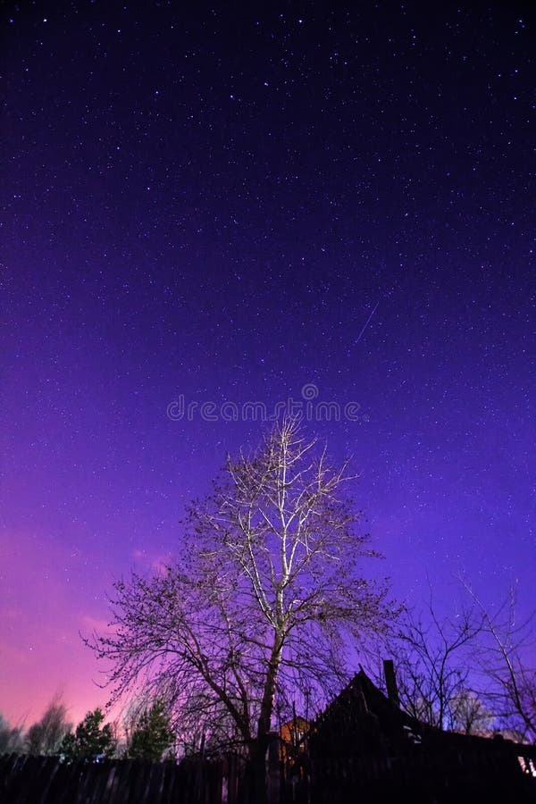 Starry Night Sky Over Tree and Small House Stock Photo - Image of ...