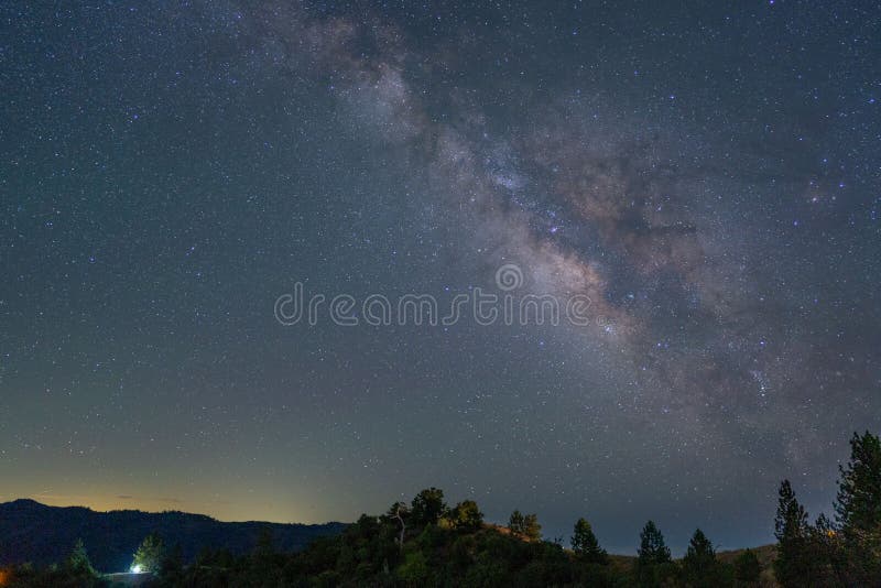 Starry Night Sky Over the Trees Stock Photo - Image of view, beauty ...