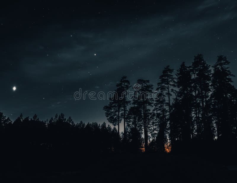 Starry dark night stock image. Image of stars, starry - 277299455