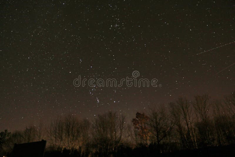 Starry Night Sky Over Trees Stock Image - Image of tree, dark: 182877425