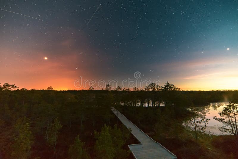 Starry night at a swamp stock photo. Image of adventure - 87102024