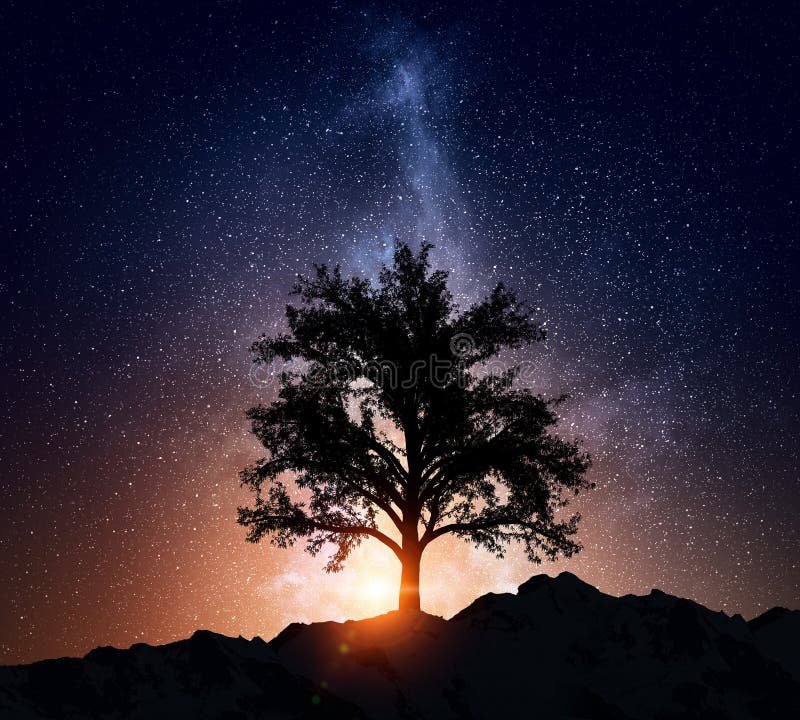 Starry Night and Tree . Mixed Media Stock Image - Image of beautiful ...