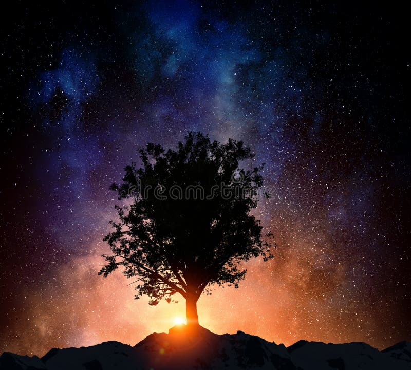 Starry Night and Tree . Mixed Media Stock Photo - Image of summer ...