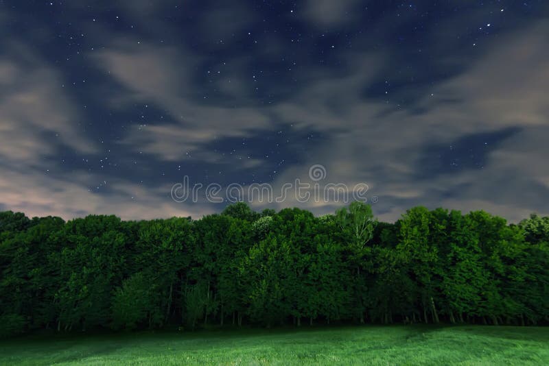 Starry Night, White Clouds, Many Stars, Green Forest. the Edge of the ...