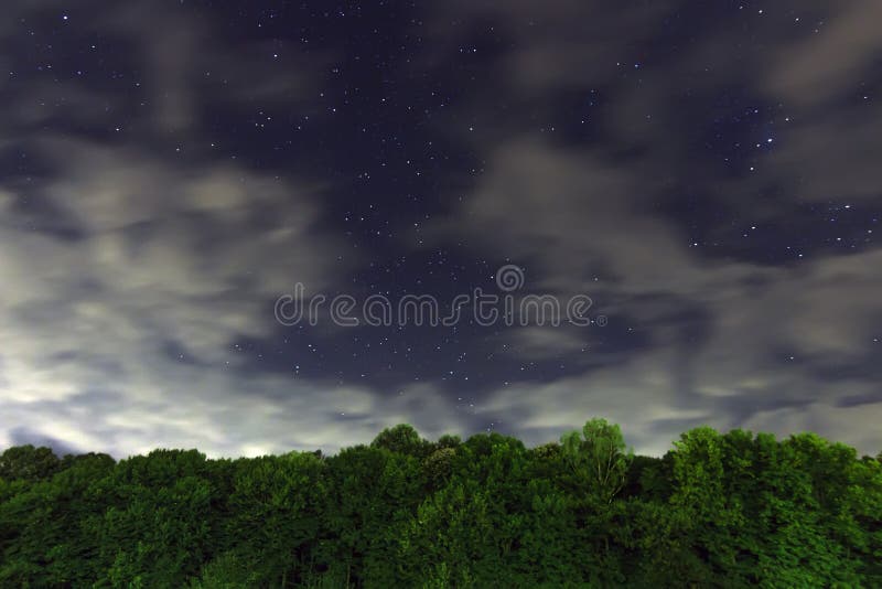 Starry Night, White Clouds, Many Stars, Green Forest. the Edge of the ...