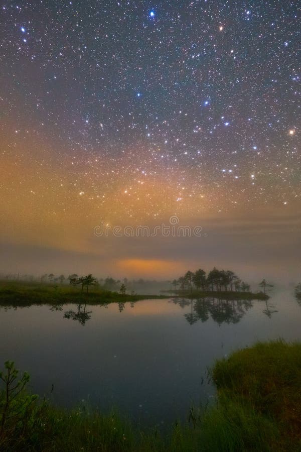 Swamp in the night stock image. Image of reserve, stargazing - 131862603