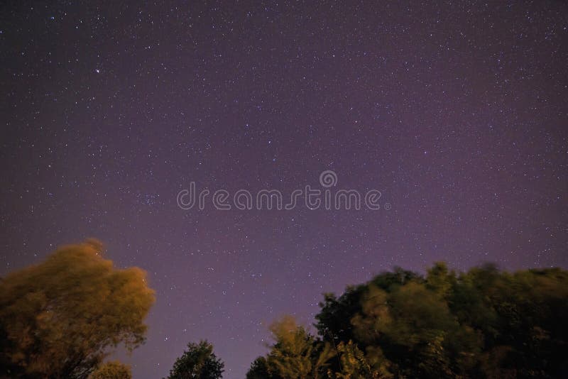 Starry sky above trees stock image. Image of landscape - 94394379