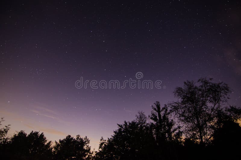 Starry Sky with Bushes and Trees Stock Photo - Image of midnight ...