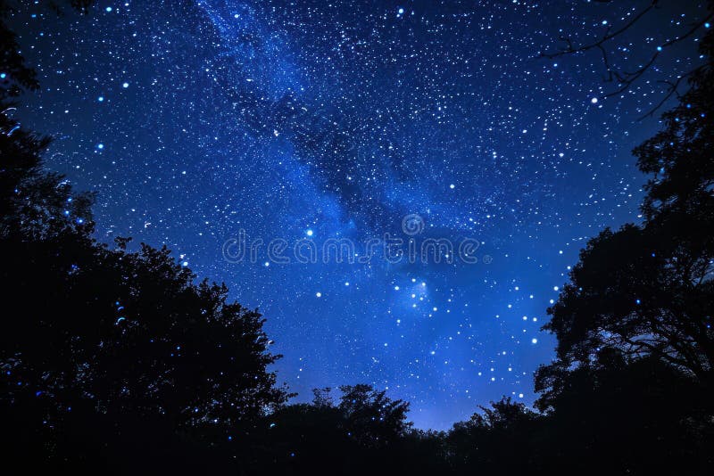 Starry Sky in the Forest. Sky Night Landscape Stock Photo - Image of ...