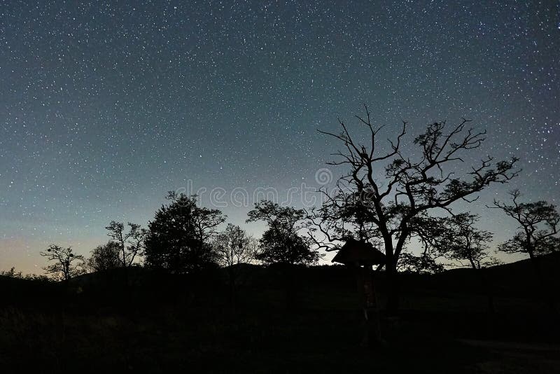 Starry sky landscape stock image. Image of bare, galaxy - 131352615