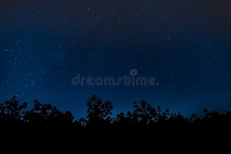 Starry Sky Landscape stock photo. Image of nature, astronomy - 167125294