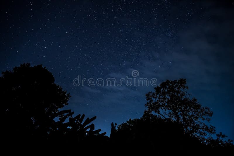Starry Sky Landscape stock image. Image of landscape - 167125347