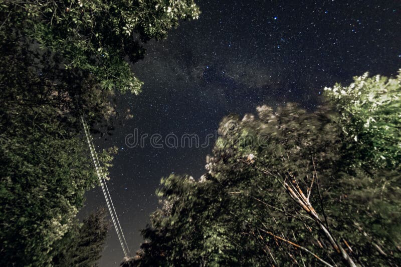Starry Sky and Milky Way Seen from the Woods Stock Photo - Image of ...