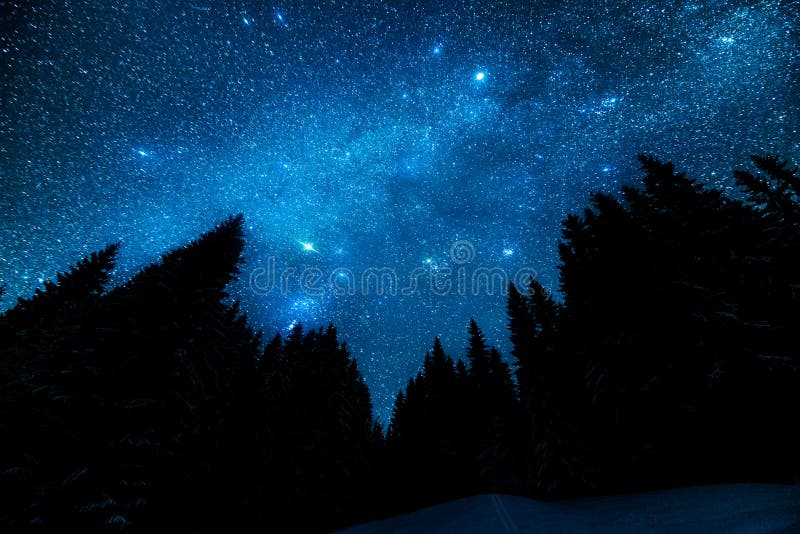 Starry Sky in the Night Forest Stock Photo - Image of astronomy ...