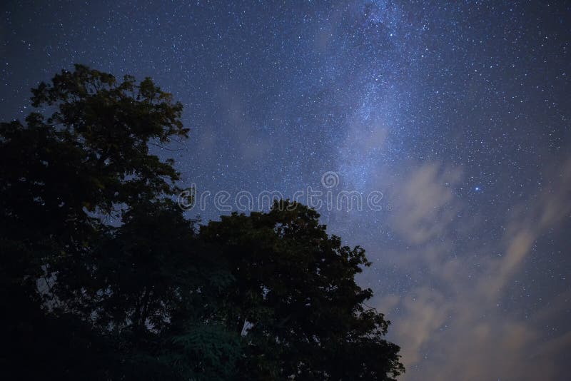 Starry sky over the forest stock photo. Image of mountain - 126747928