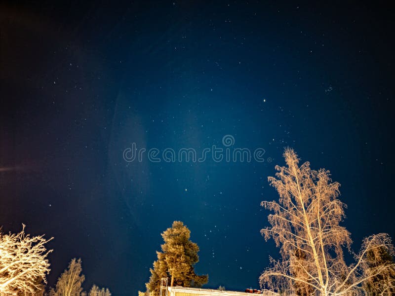 Starry sky over the trees stock photo. Image of heaven - 267315630