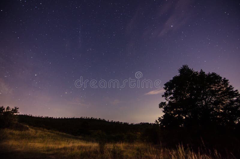 Starry Sky with Tree and Meadow Stock Image - Image of night, nature ...