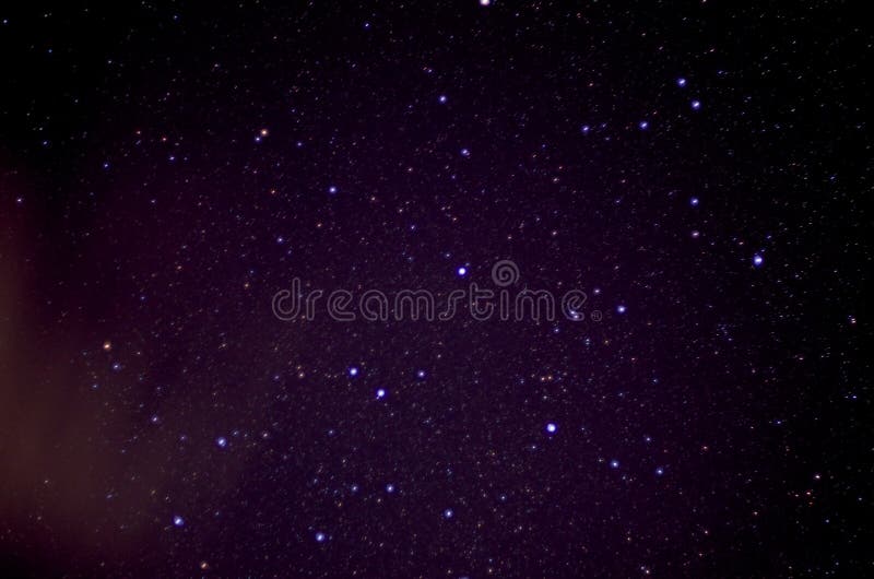 Starry starry night stock photo. Image of tree, night - 62674904