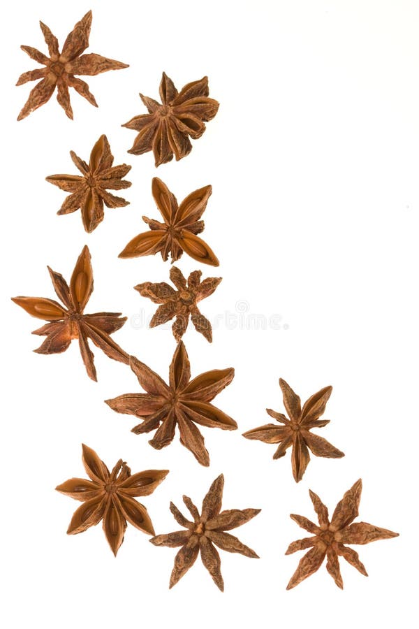 Stars of anisee stock image. Image of spice, star, space - 7156003
