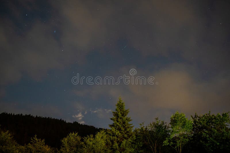 Stars and Clouds Over Trees at Night Stock Photo - Image of universe ...