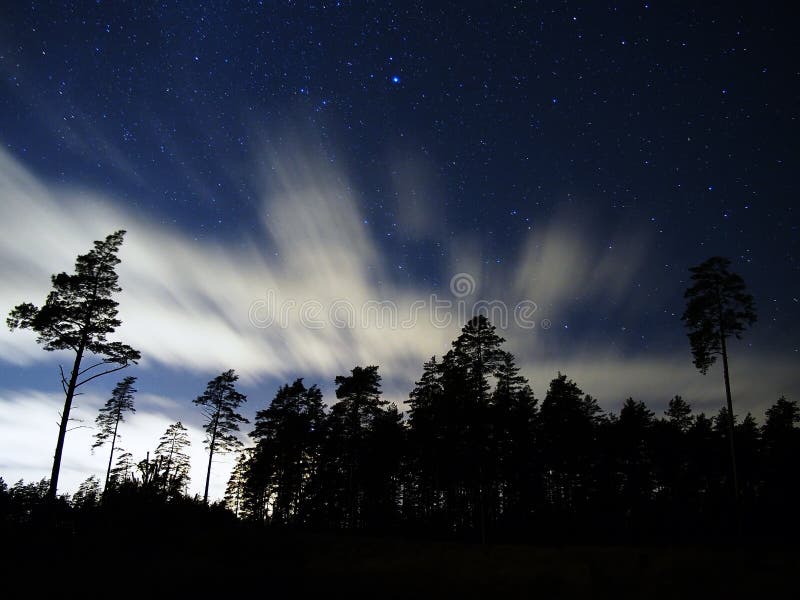Brightest Stars and Clouds Over Night Forest Stock Photo - Image of ...