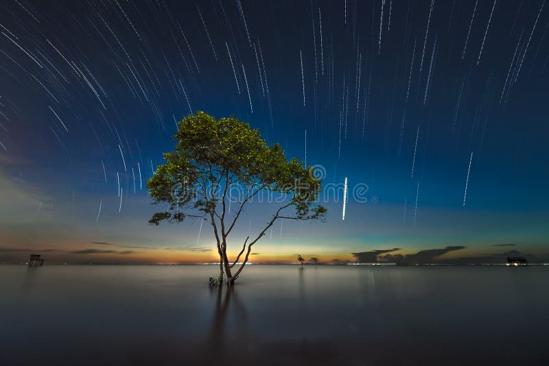 Stars drop stock image. Image of plant, sunrise, water - 41521255