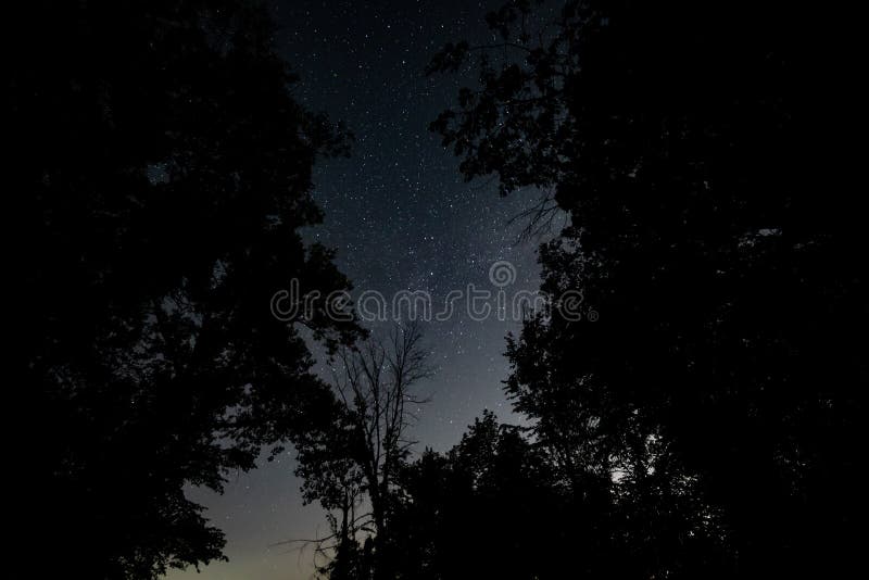 Stars and Milky Way in Forest at Night Stock Image - Image of diced ...