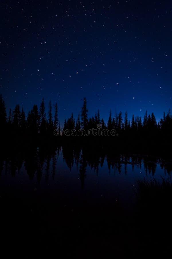 Stars at Night Above Forest Tree Line Stock Image - Image of reflection ...