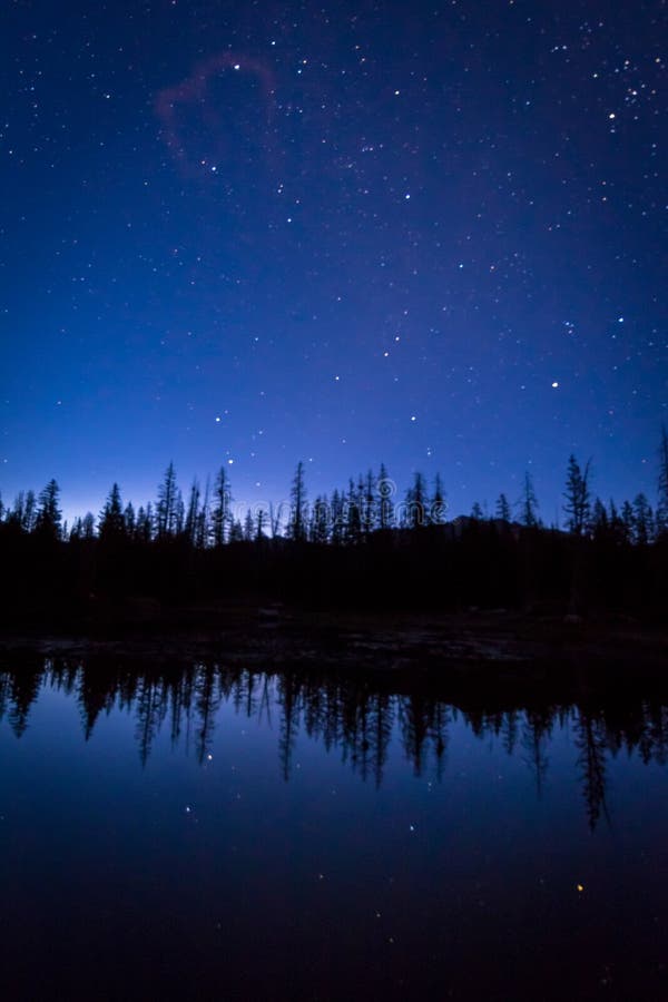 Stars at Night Above Forest Tree Line Stock Image - Image of reflection ...