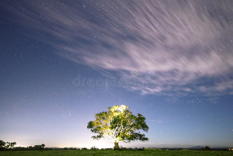 Stars at night stock photo. Image of brisbane, natural - 54918414