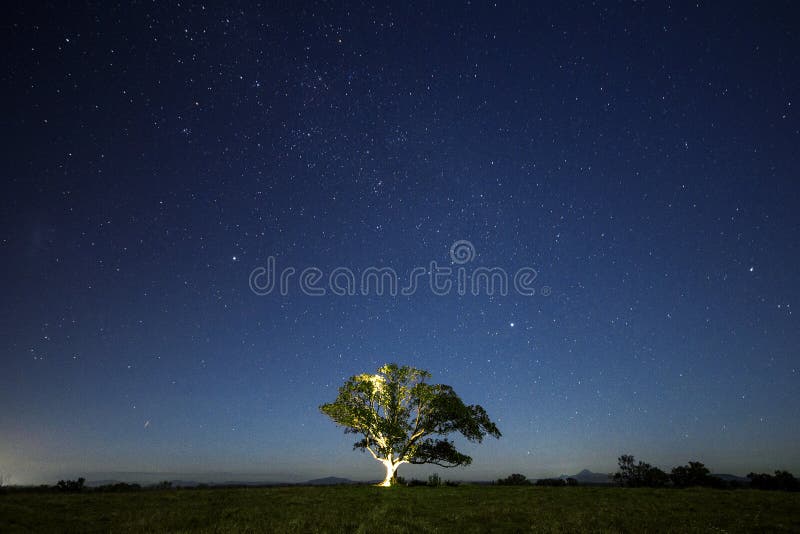 Stars at night stock image. Image of outdoor, comet, queensland - 54919989