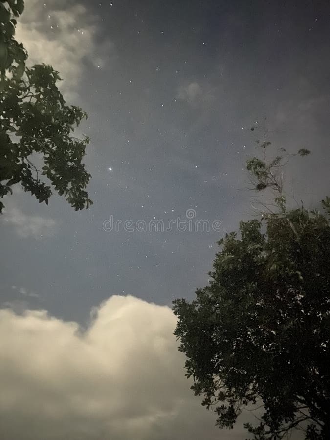 Stars in the Night Sky with Clouds and Tree Stock Photo - Image of ...
