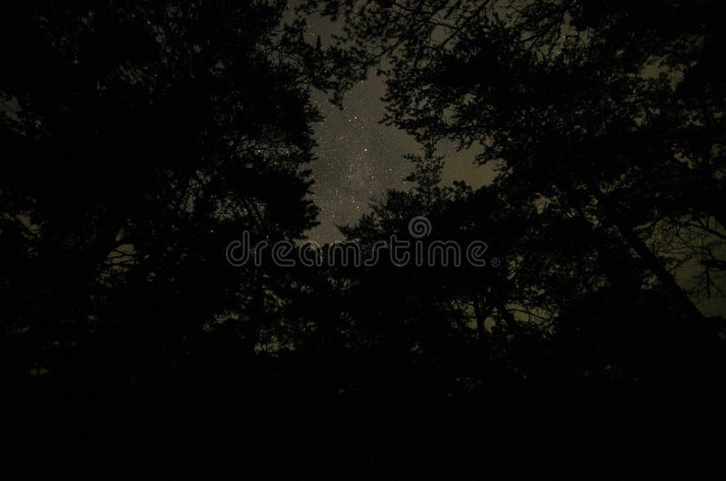 Stars Over Red River Gorage Kentucky Stock Image - Image of river, tree ...