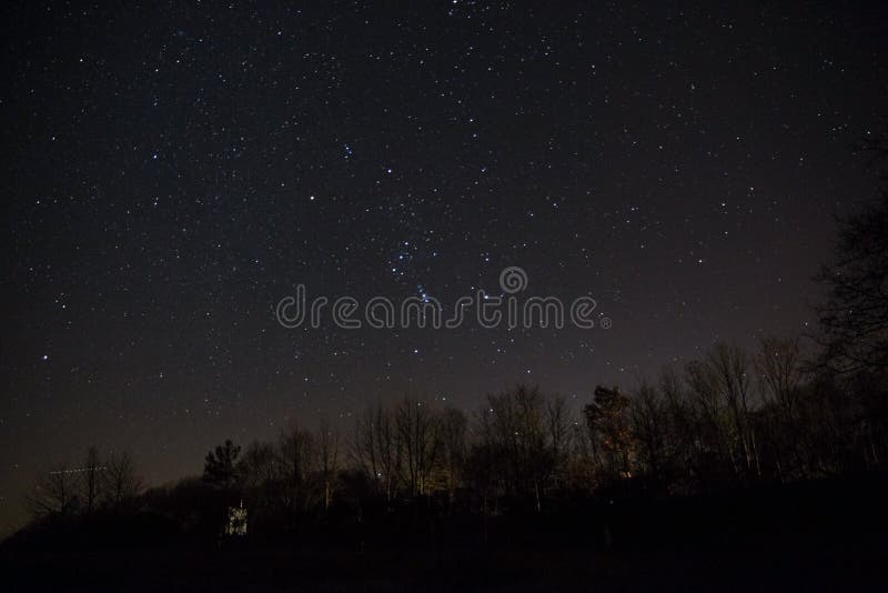 Stars over trees at night stock photo. Image of galaxy - 162338412