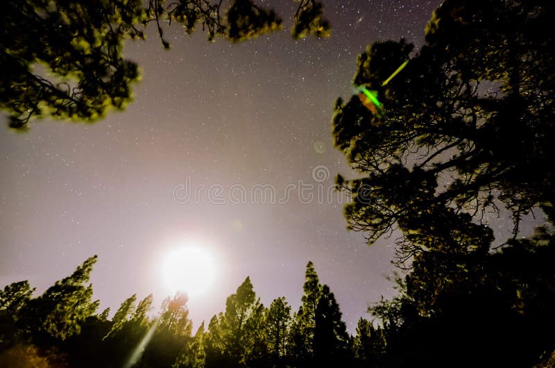 Stars in the Sky at Night stock photo. Image of light - 196266456