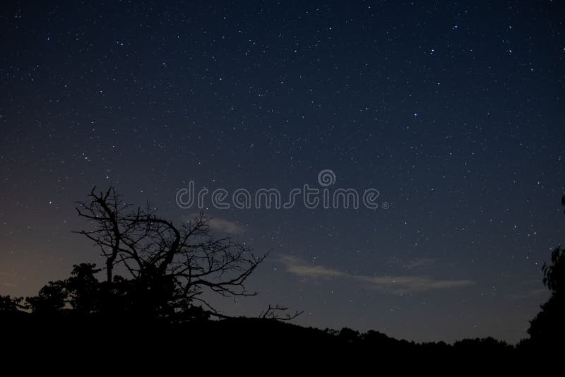 Stars stock photo. Image of astronomic, foreground, skyline - 188264622