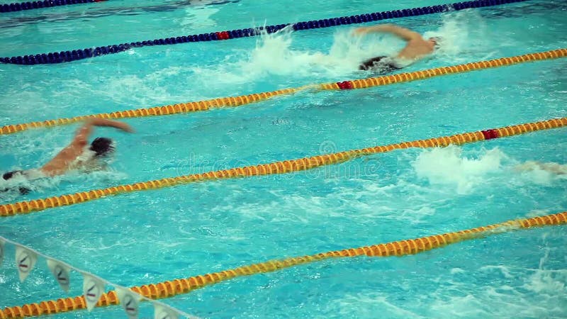 Start competitive swimming stock footage. Video of lane - 37416078