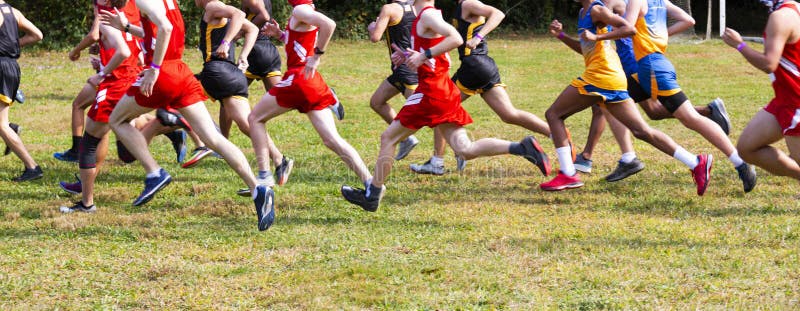 Start of a Cross Country 5K Running Race from the Side Stock Image ...
