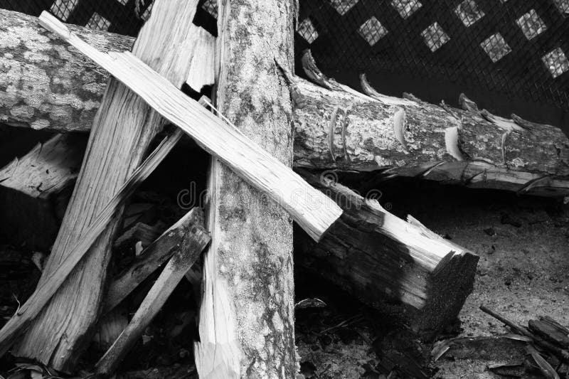 Start a fire stock photo. Image of darkness, photograph - 319185390