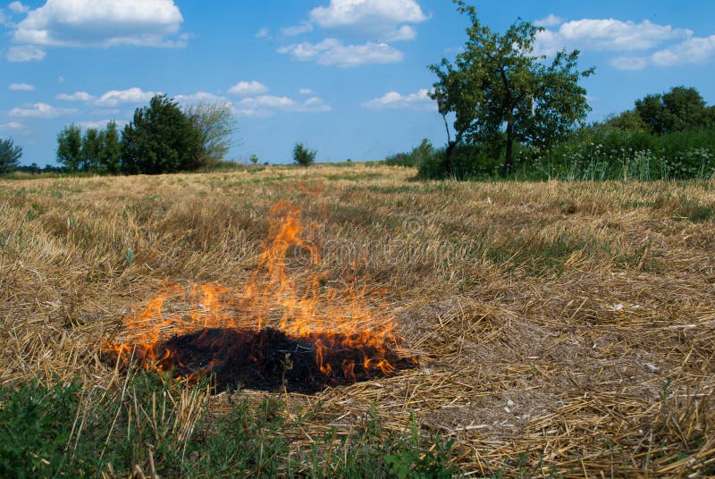 Start a Fire in a Wheat Field Stock Photo - Image of nature, summer ...